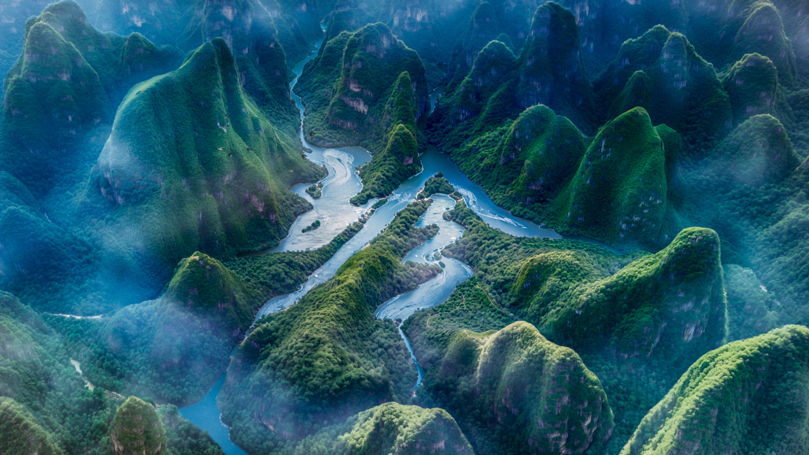 KweiChou ZhenJiu – Multi Venture